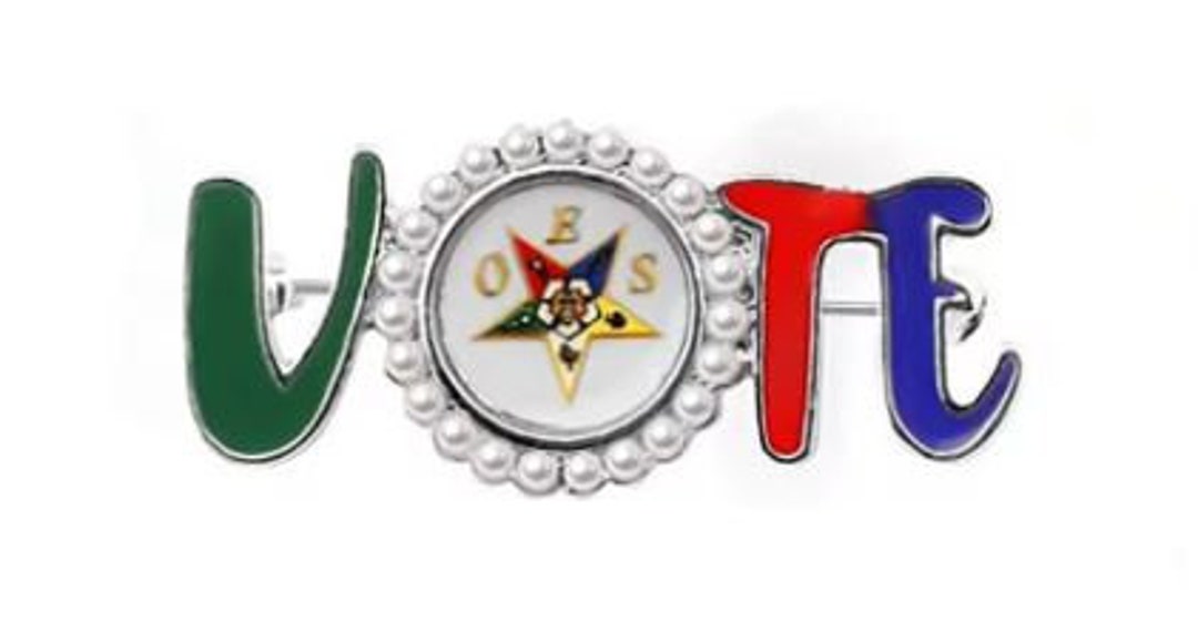 OES Vote Pin - Etsy