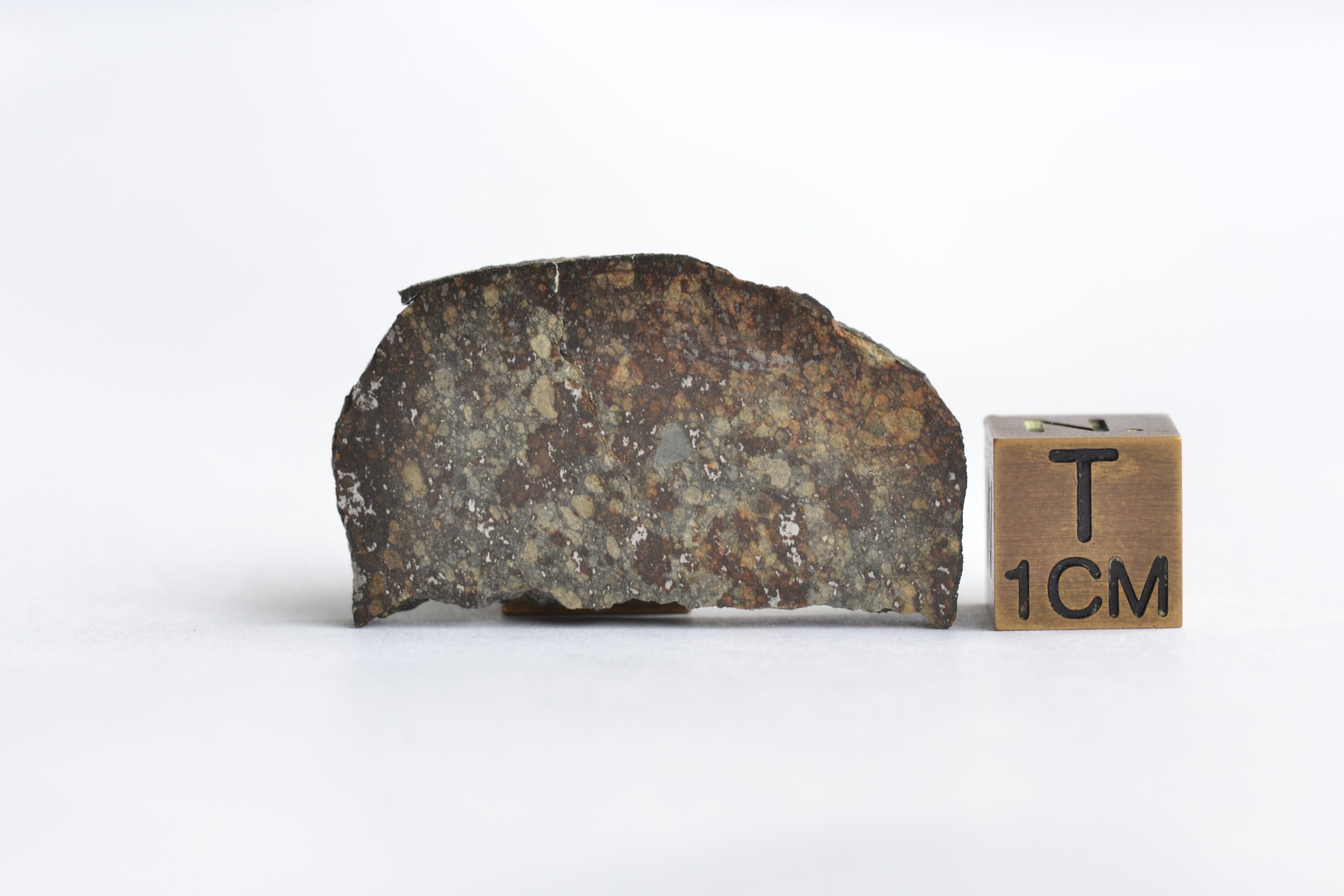 Meteorite KENDLETON Chondrite L4 Fell 1939 in Texas USA | Etsy