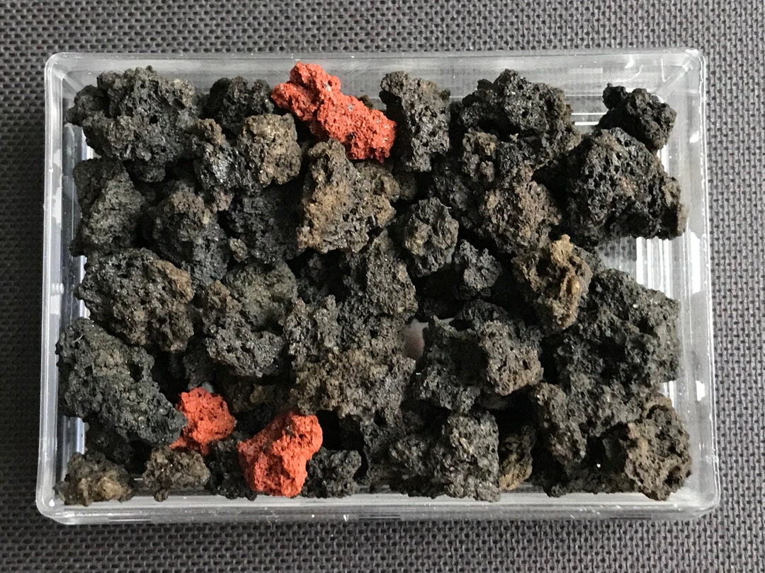 Krakatau Lava Rocks: Volcanic Specimens From Java-sumatra (35g) - Etsy
