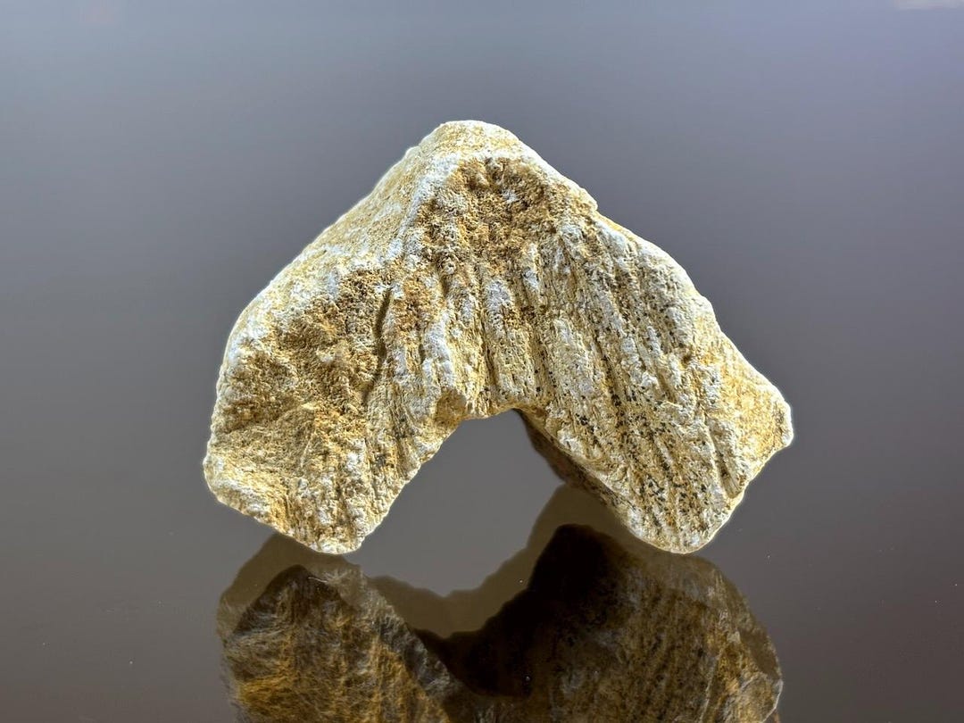 Impactite Shatter Cone Steinheim Crater - Ries Crater Melt Breccia ...