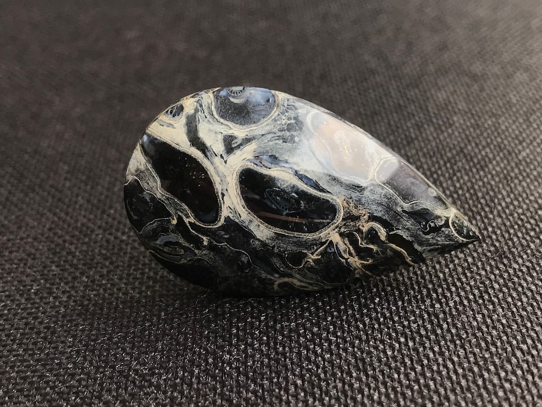 Petrified Fossilized Palm Root Cabochon - Natural - Java - Indonesia ...