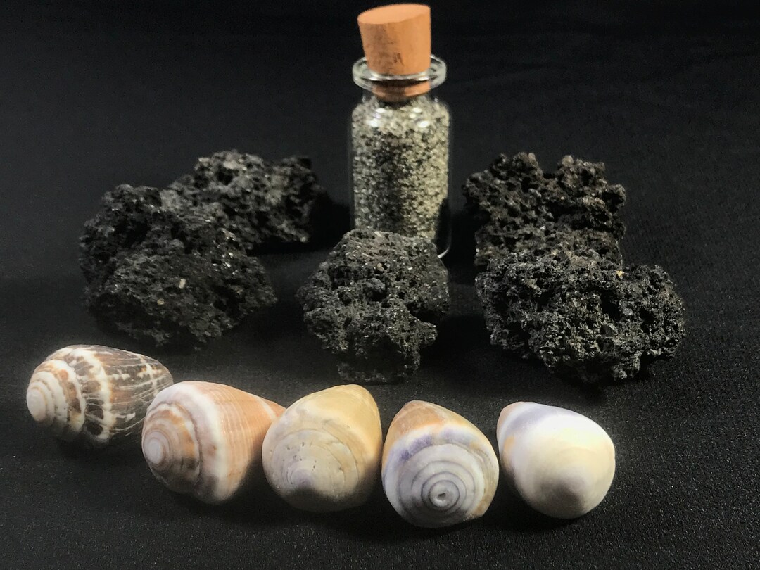 Krakatau Volcanic Rock, Sand & Shell Set - 1883 Eruption Relics - Etsy UK