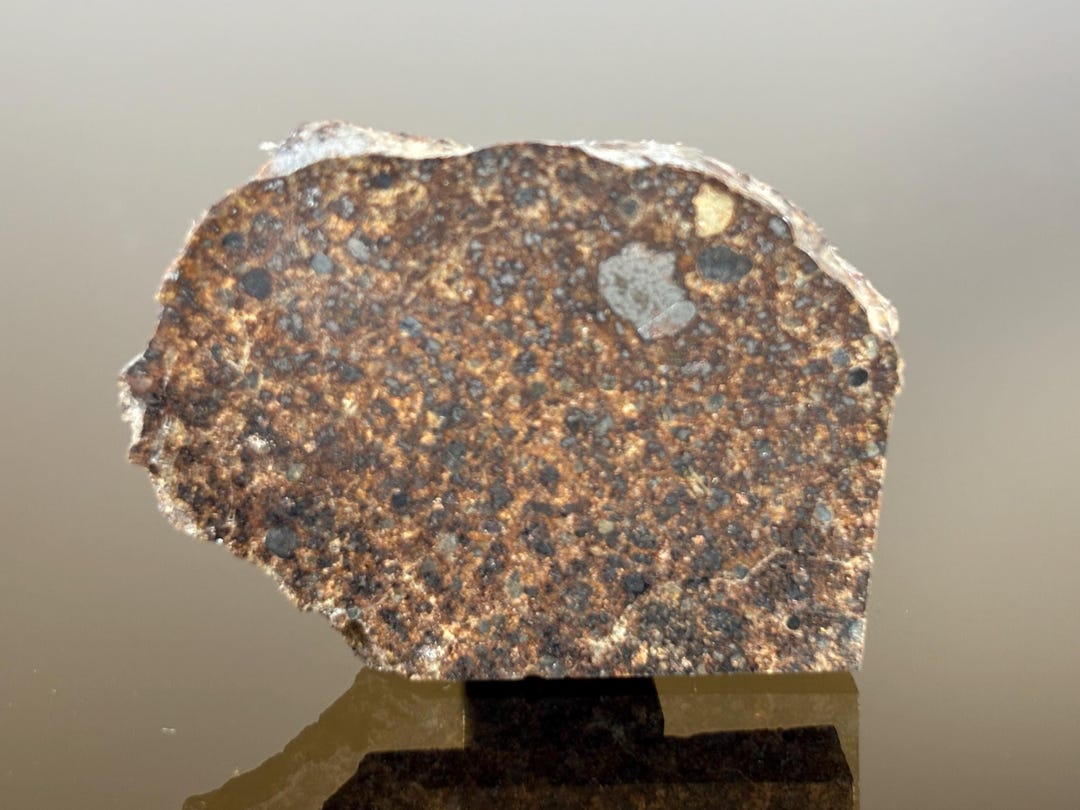 Reggane 003 Meteorite Slice: Algeria H4 Chondrite, Spacejewels ...