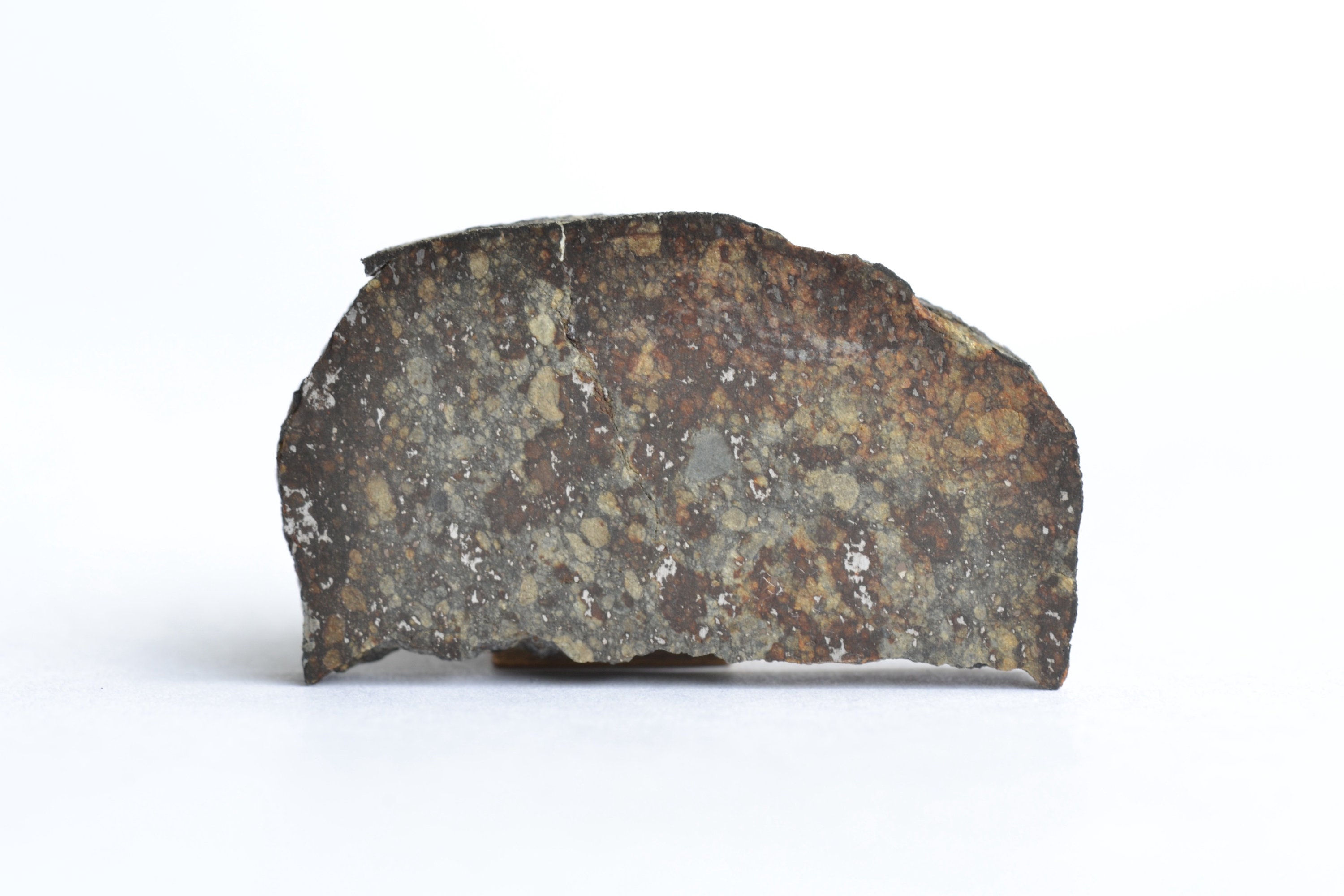 Meteorite KENDLETON Chondrite L4 Fell 1939 in Texas USA | Etsy