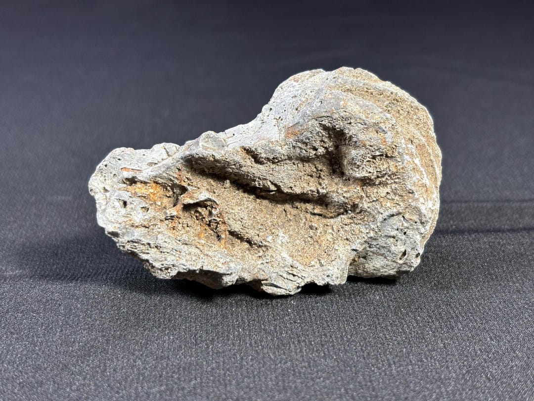 Ries Crater Impactite: Suevite Melt Breccia Rock - Germany, 71g - Etsy