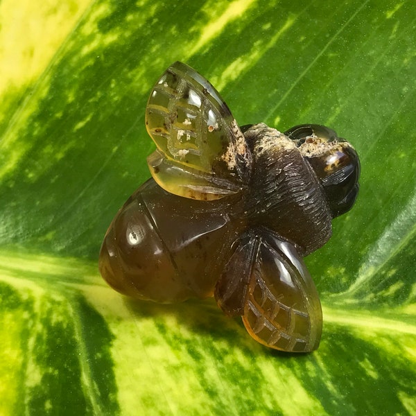 Bee Amber Carving - Etsy