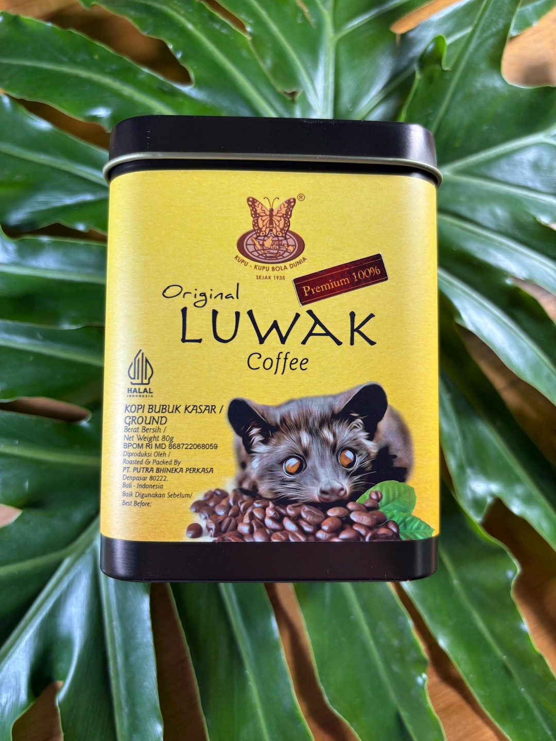 LUWAK Coffee - Luwak Coffee Ground From Bali Indonesia - in Nice Gift ...