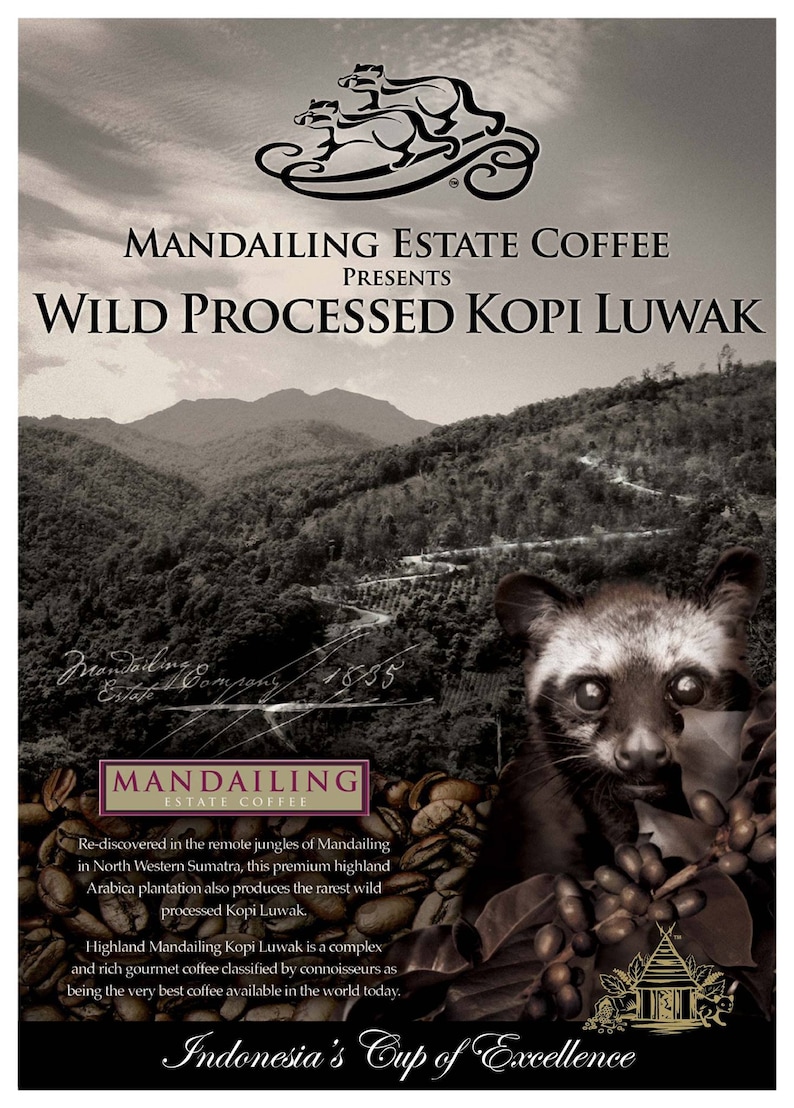 Sumatra Mandailing Kopi Luwak: Indonesian Estate Coffee Roasted Beans ...