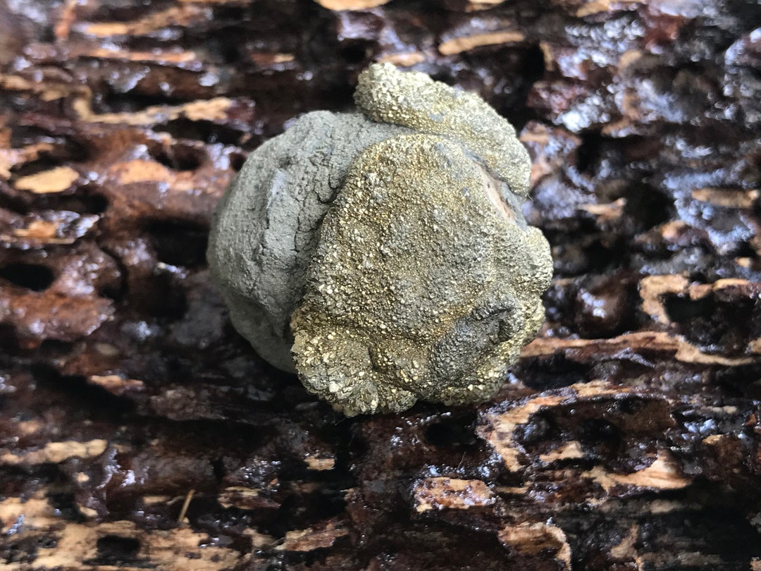 Pyrite Nodule Stone java Indonesia Natural Batu Badar - Etsy
