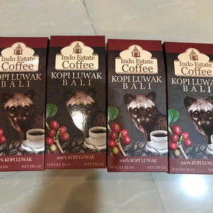 Pure Kopi Luwak Coffee Beans: Bali Indo Estate, 100g - Etsy