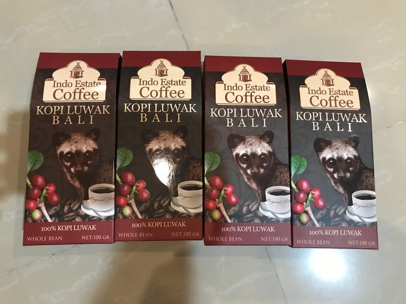 Pure Kopi Luwak Coffee Beans: Bali Indo Estate, 100g - Etsy
