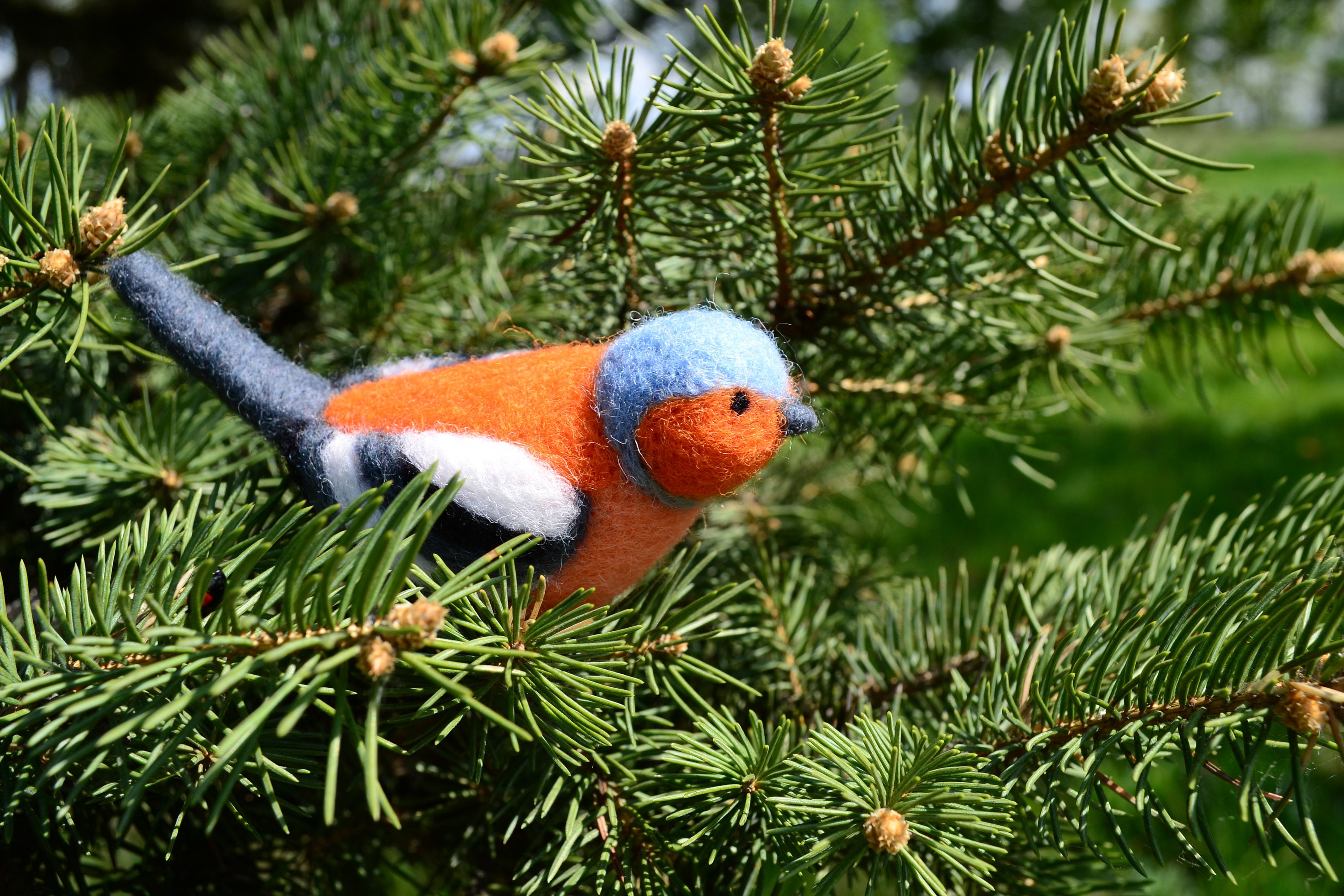 Felt Bird Needle Felted Birds Blue Jay Felt Blue Tit - Etsy