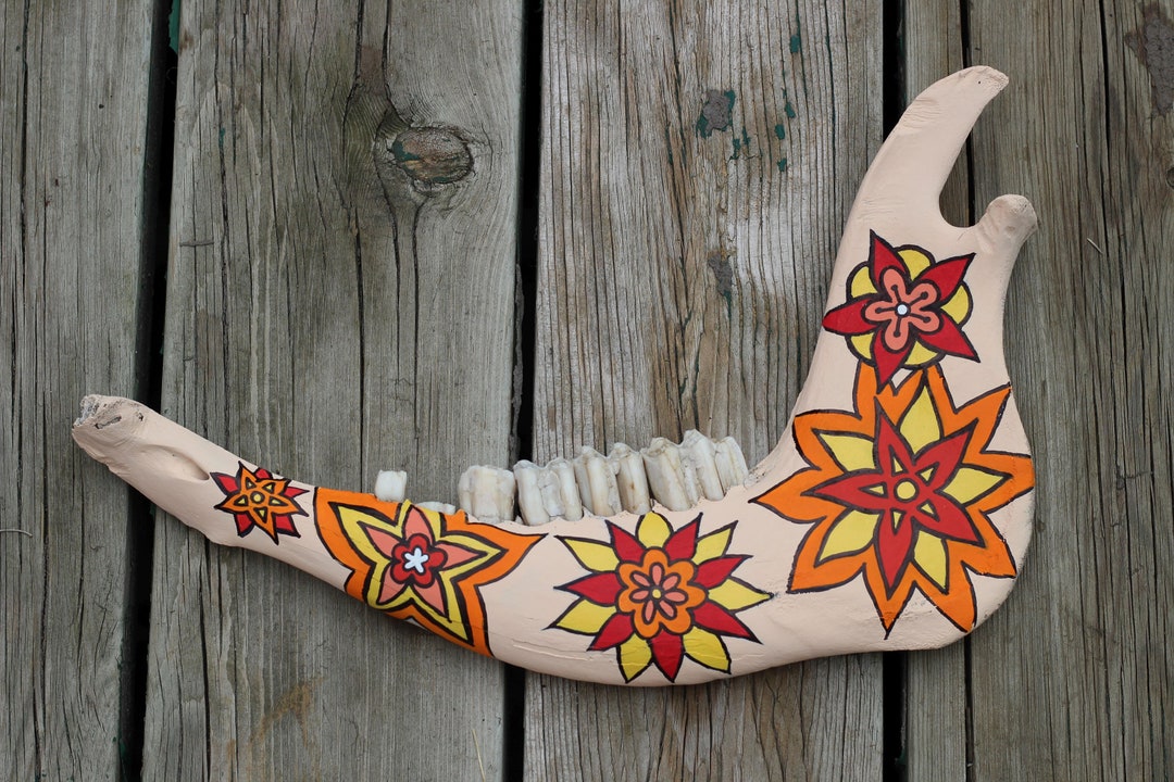 Real Painted Jaw Bone / Painted Bones / Real Painted Skull / Bone Art ...