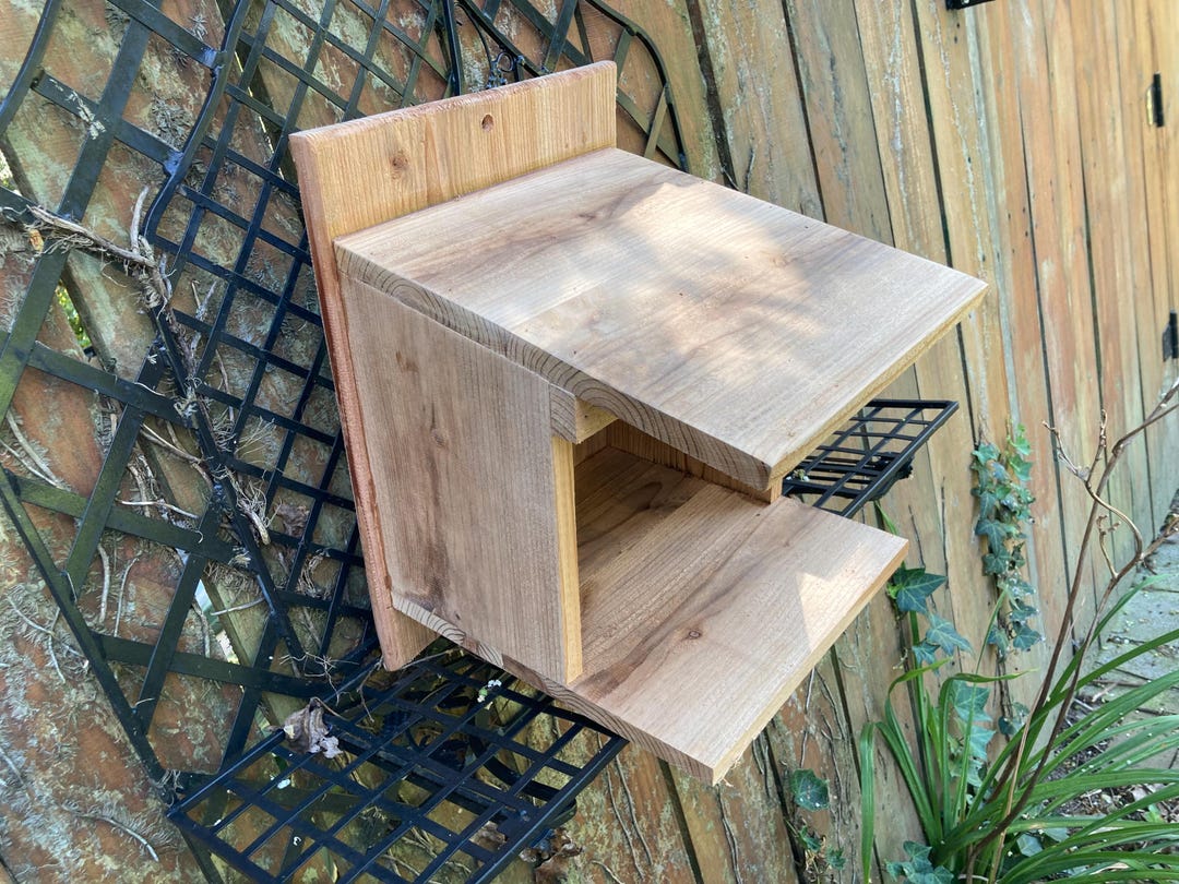 American Robin, Barn Swallow Nesting Shelf Made of Rustic Cedar. - Etsy