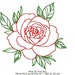 Red Rose Outline, Machine Embroidery Design, 5 Sizes, Instant Download ...