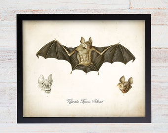 Bat art | Etsy