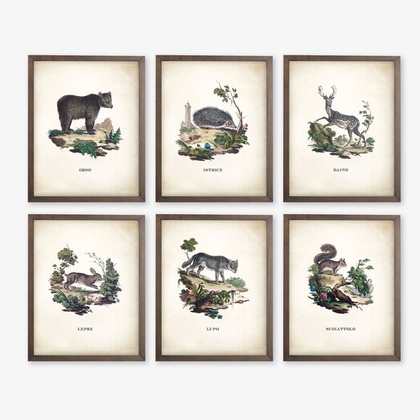 Vintage Forest Nursery Print - Etsy