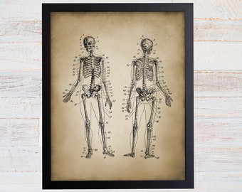 Skeleton wall art | Etsy