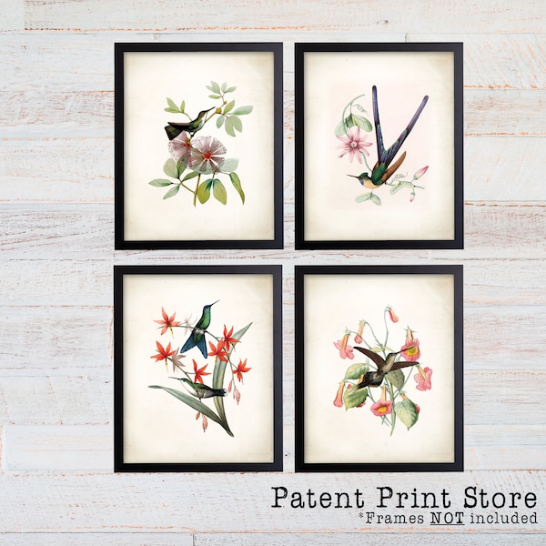 Hummingbird Print - Etsy