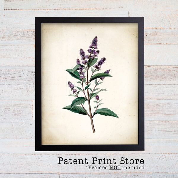 Peppermint Art - Etsy