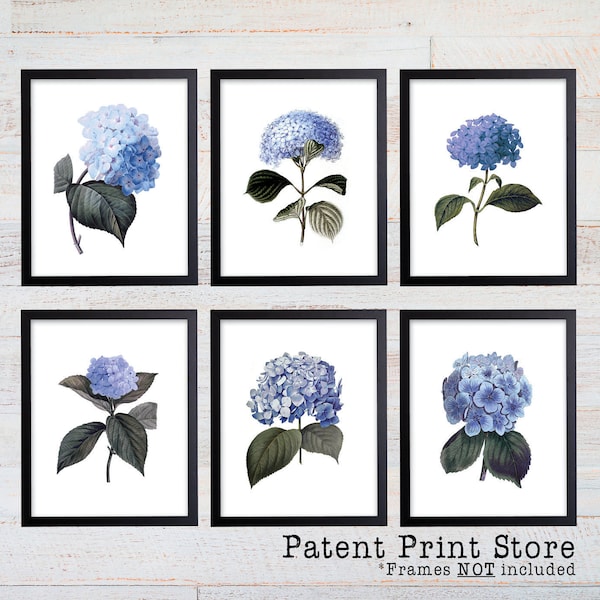Hydrangea Print - Etsy
