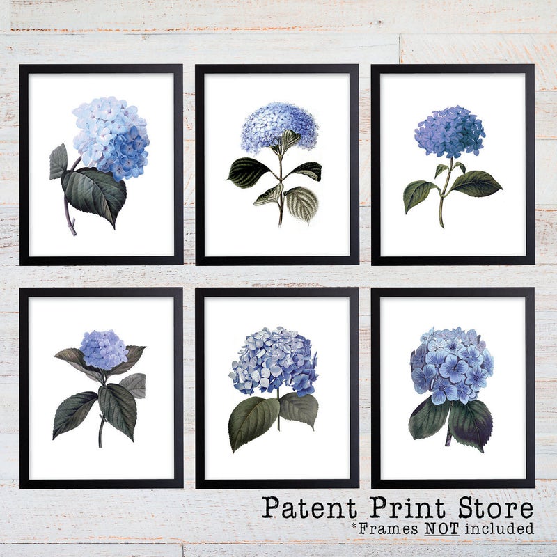 Hydrangea Print - Etsy