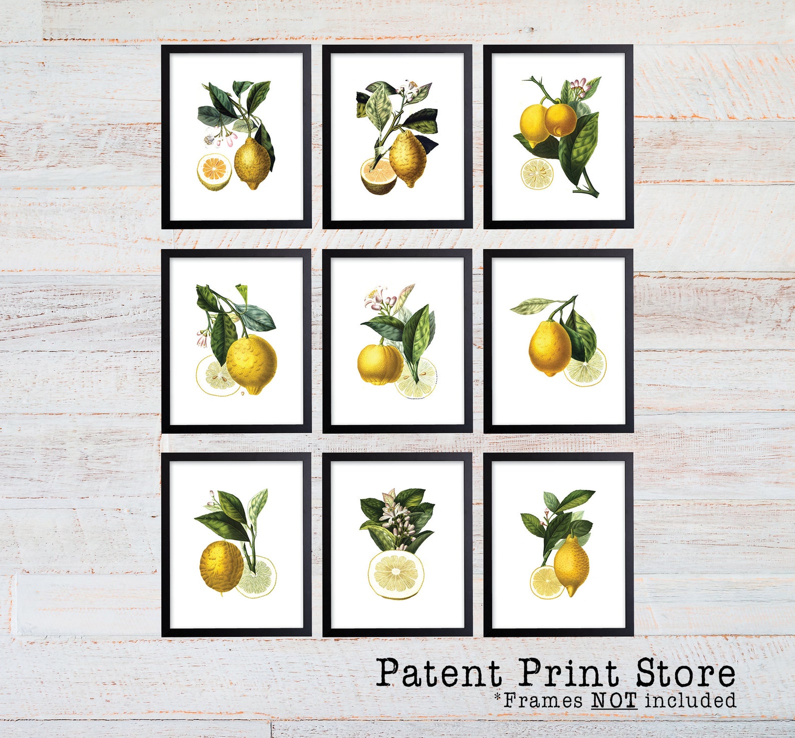 Lemon Botanical Art Prints. Lemon Prints. Flower Wall Art. - Etsy