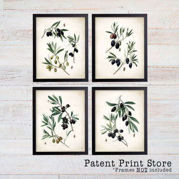 Olive Tree Print - Etsy