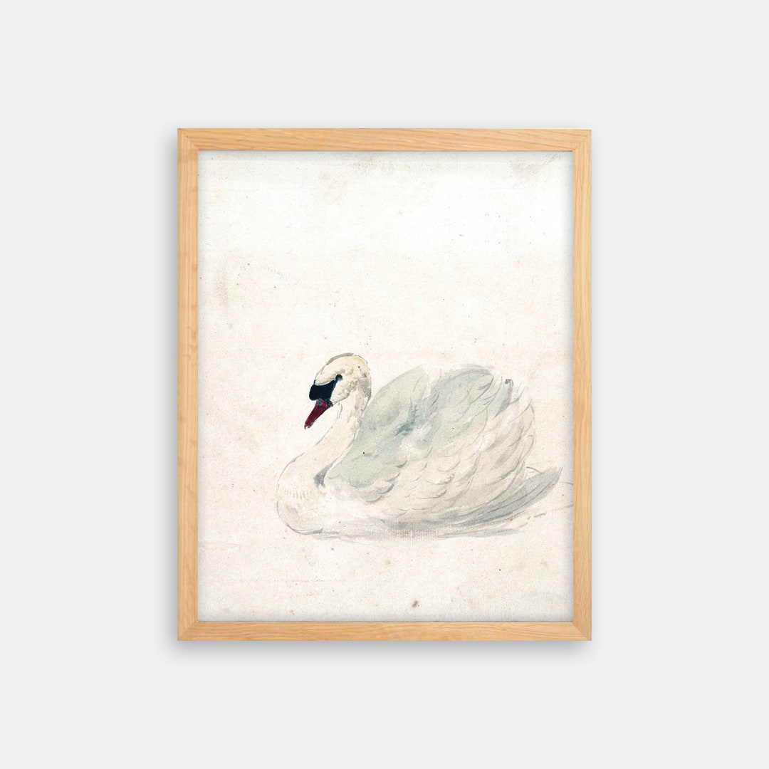 Vintage Swan Art Print. Vintage Bird Print. Swan Print. Bird Wall Decor ...