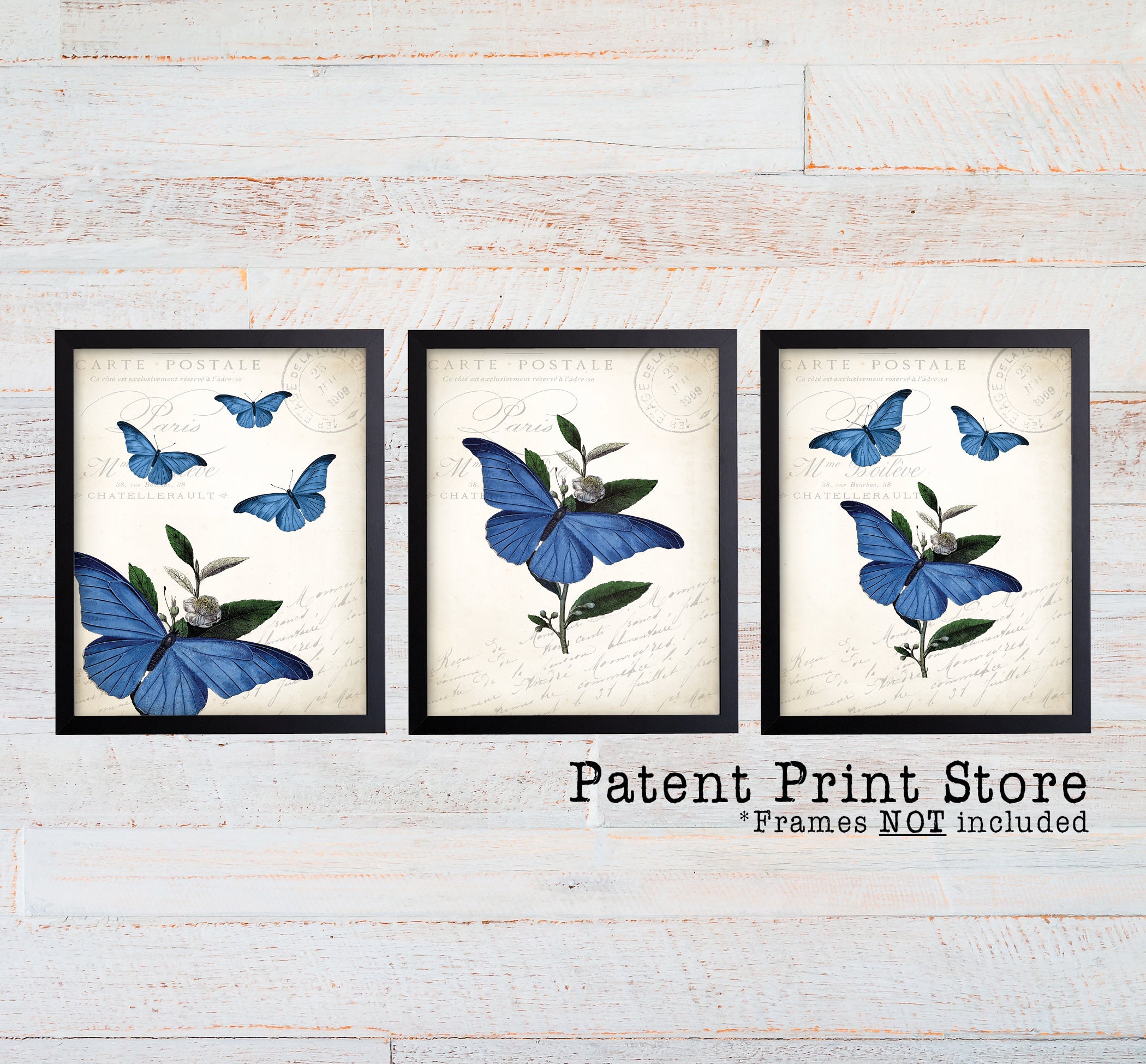 Vintage Butterfly Art. Blue Butterfly Wall Art. Farmhouse | Etsy