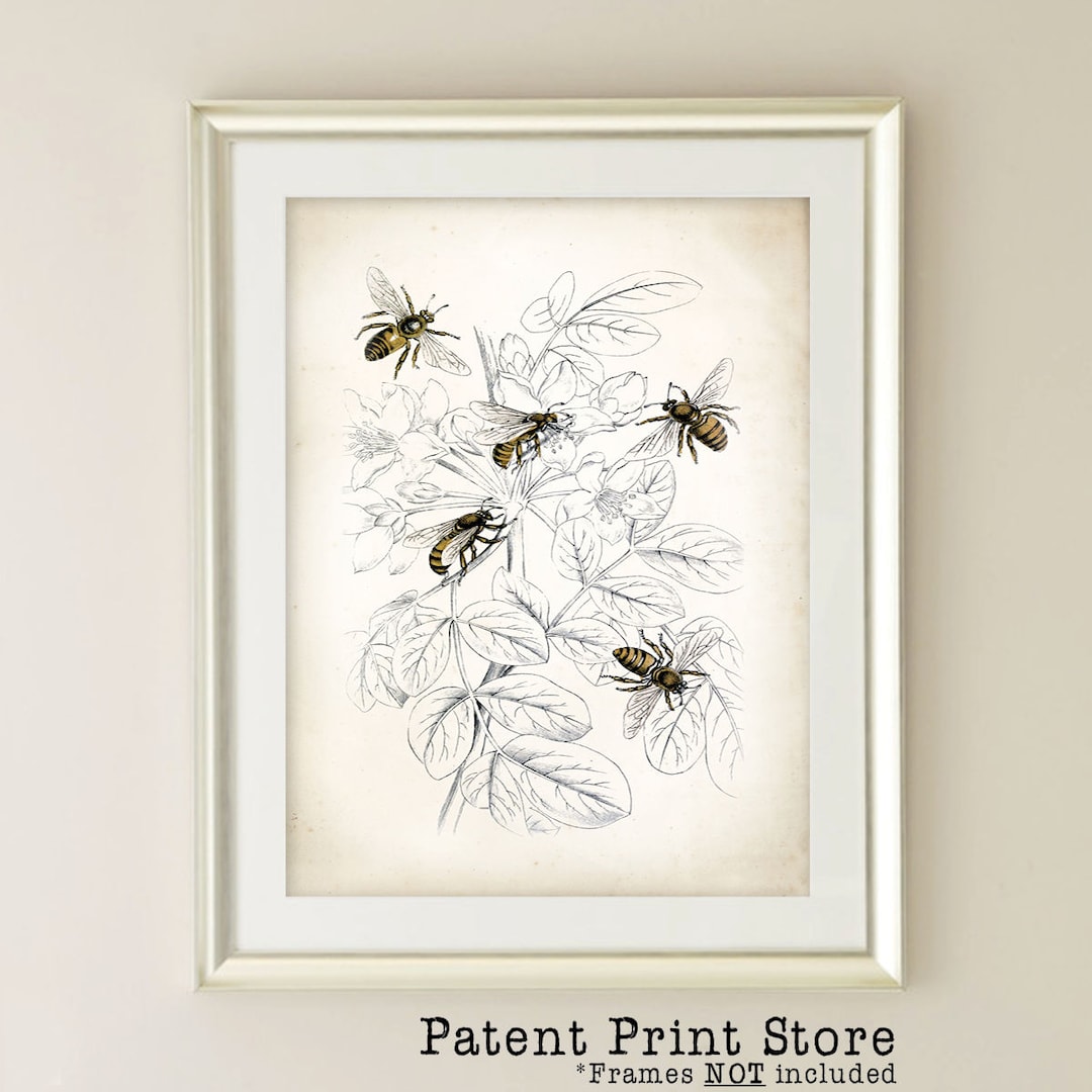 Vintage Honey Bee Art Print. Farmhouse Decor. Farmhouse Wall Decor ...