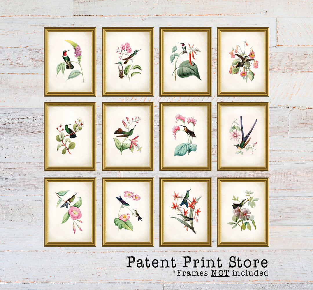 Hummingbird Art Prints. Hummingbird Print. Hummingbird Art. Bedroom ...