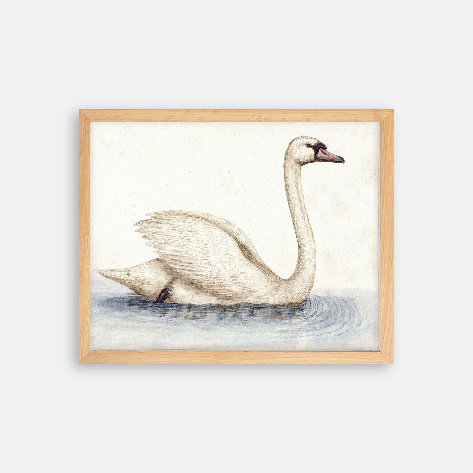 Swan Art Print. Swan Print. Vintage Bird Print. Bird Wall - Etsy Denmark