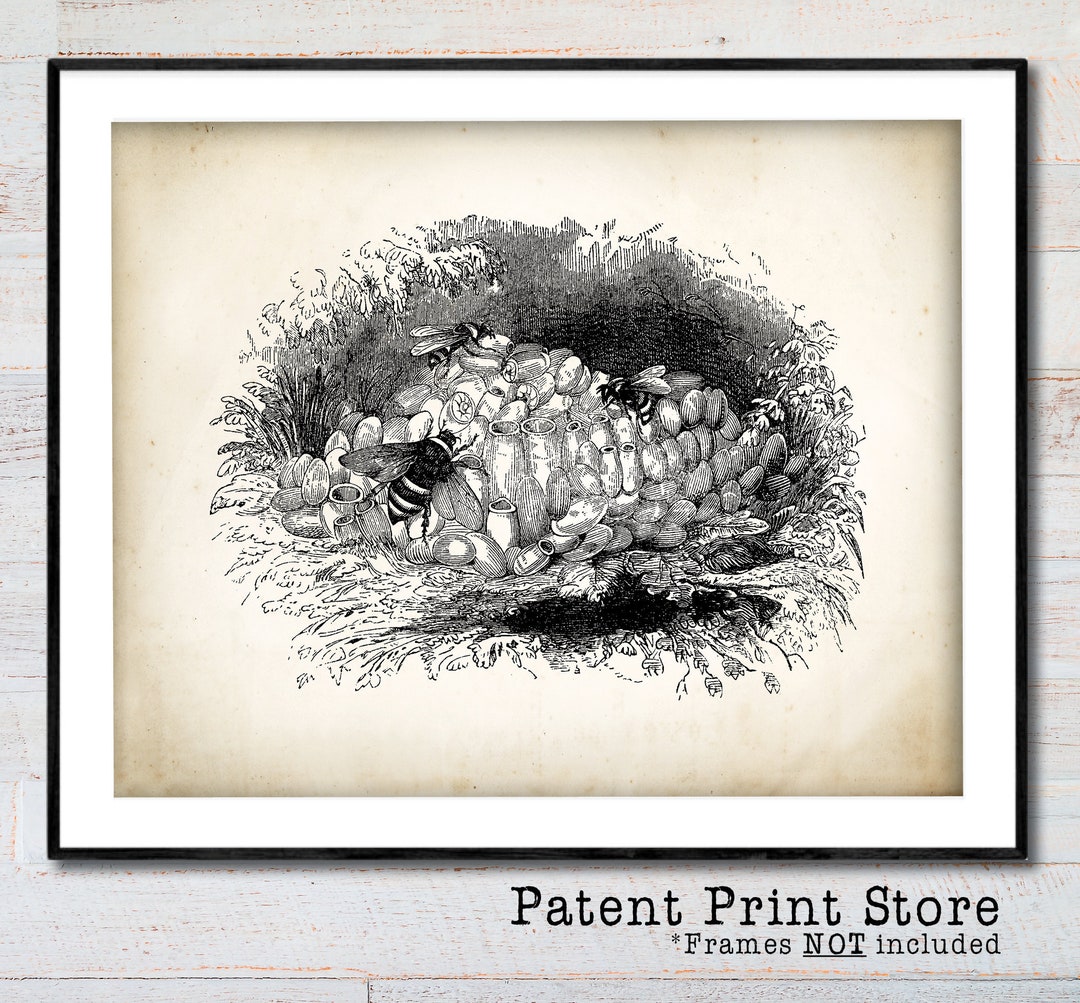 Vintage Bee Art Print. Farmhouse Decor. Farmhouse Wall Decor. Farmhouse ...