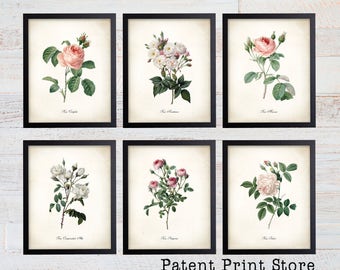 Botanical Rose Print - Etsy