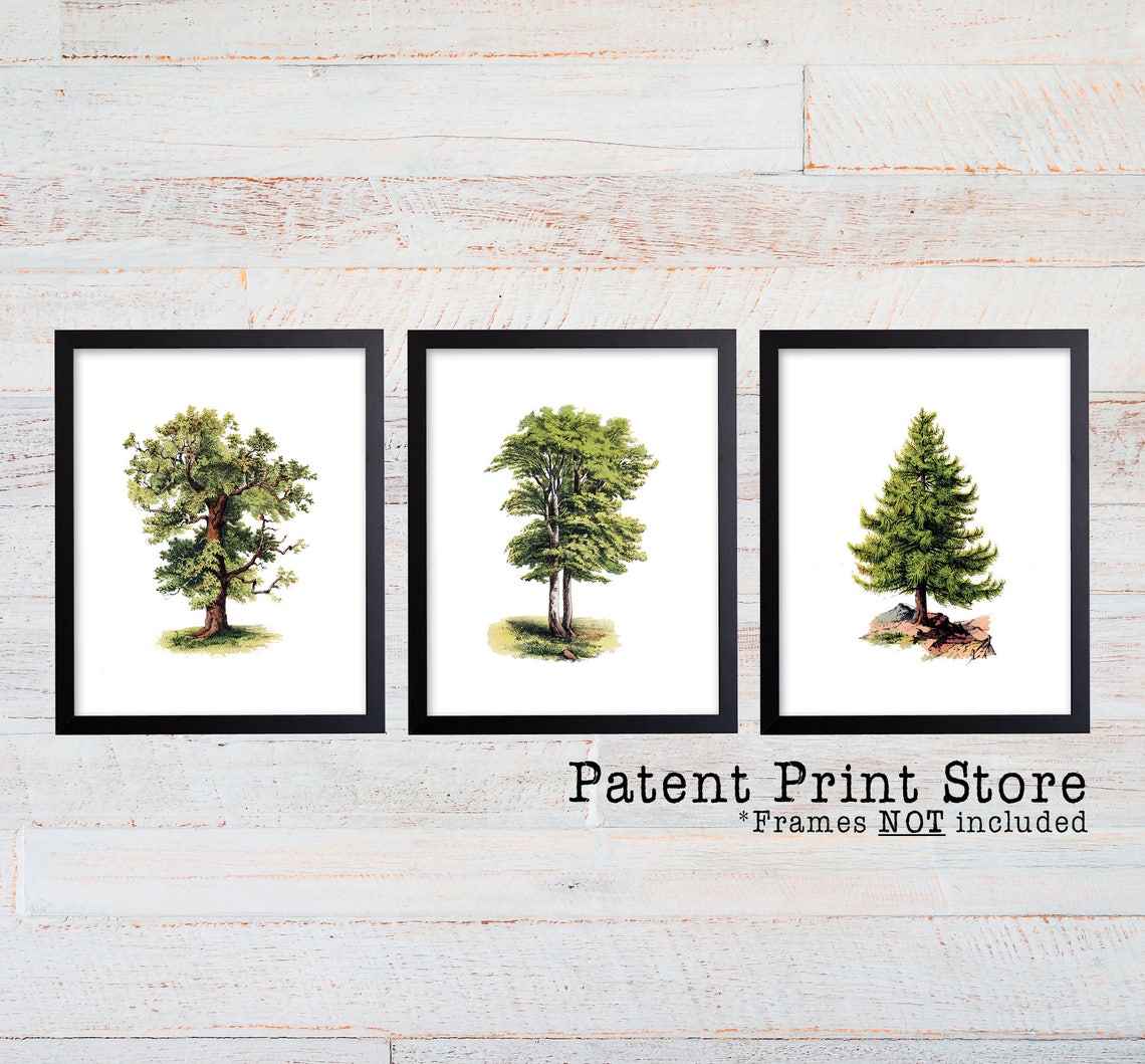 Vintage Tree Art Print Set. Tree Prints. Tree Wall Art. Green - Etsy