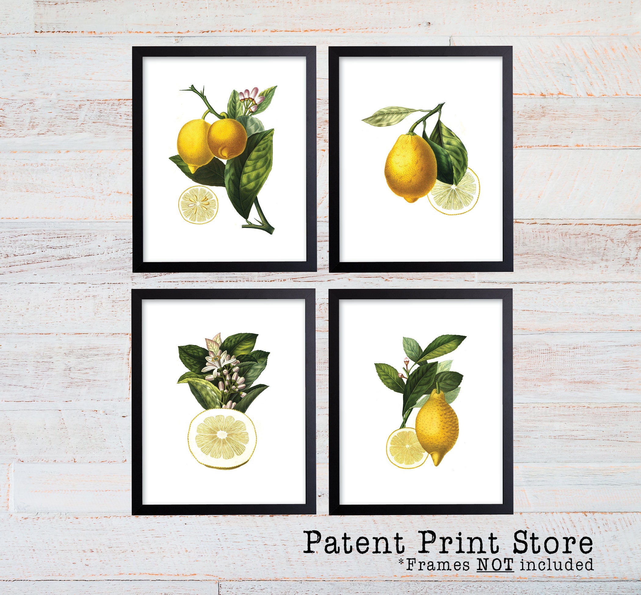 Lemon Botanical Art Prints. Lemon Prints. Flower Wall Art. - Etsy