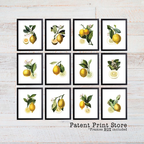 Lemon Botanical Art Prints. Lemon Prints. Flower Wall Art. - Etsy