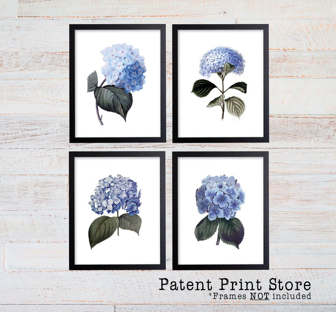 Blue Hydrangea Art. Blue Hydrangea Prints. Blue Botanical Prints ...