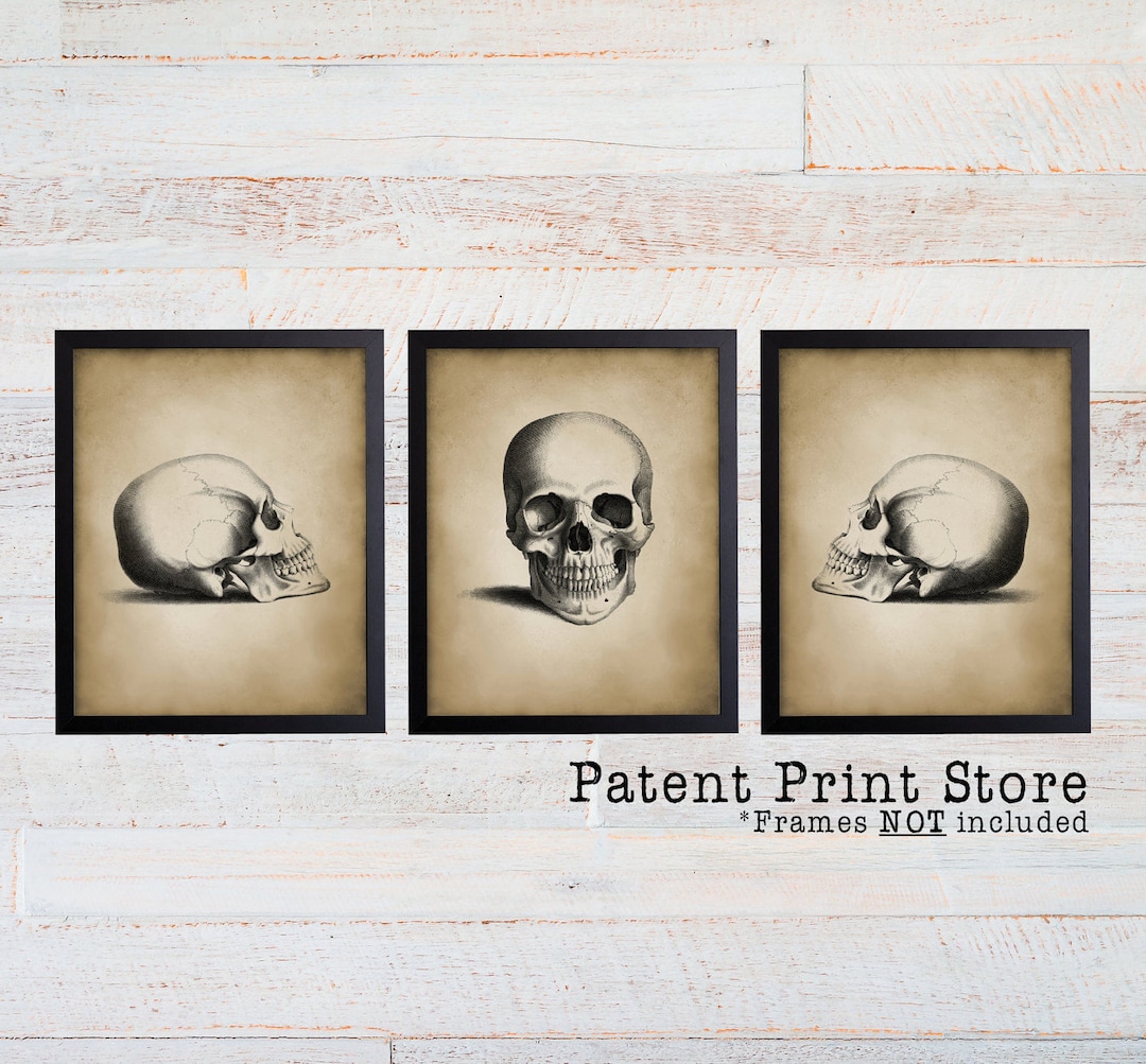 Antique Skull Print Set. Skull Art. Skull Decor. Vintage Anatomy Art ...