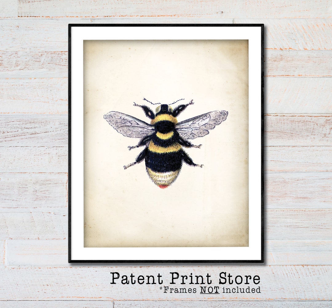 Vintage Bumble Bee Art Print. Farmhouse Decor. Farmhouse Wall Decor ...