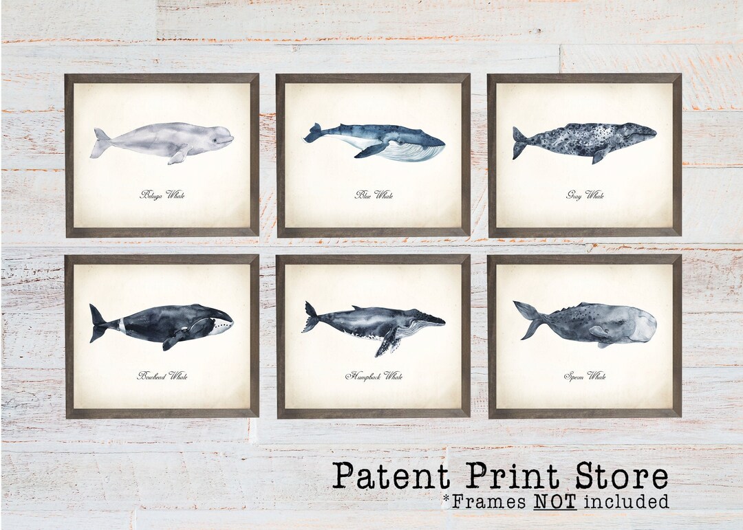Watercolor Whales Print Set. Whale Prints. Whale Wall Art Print ...