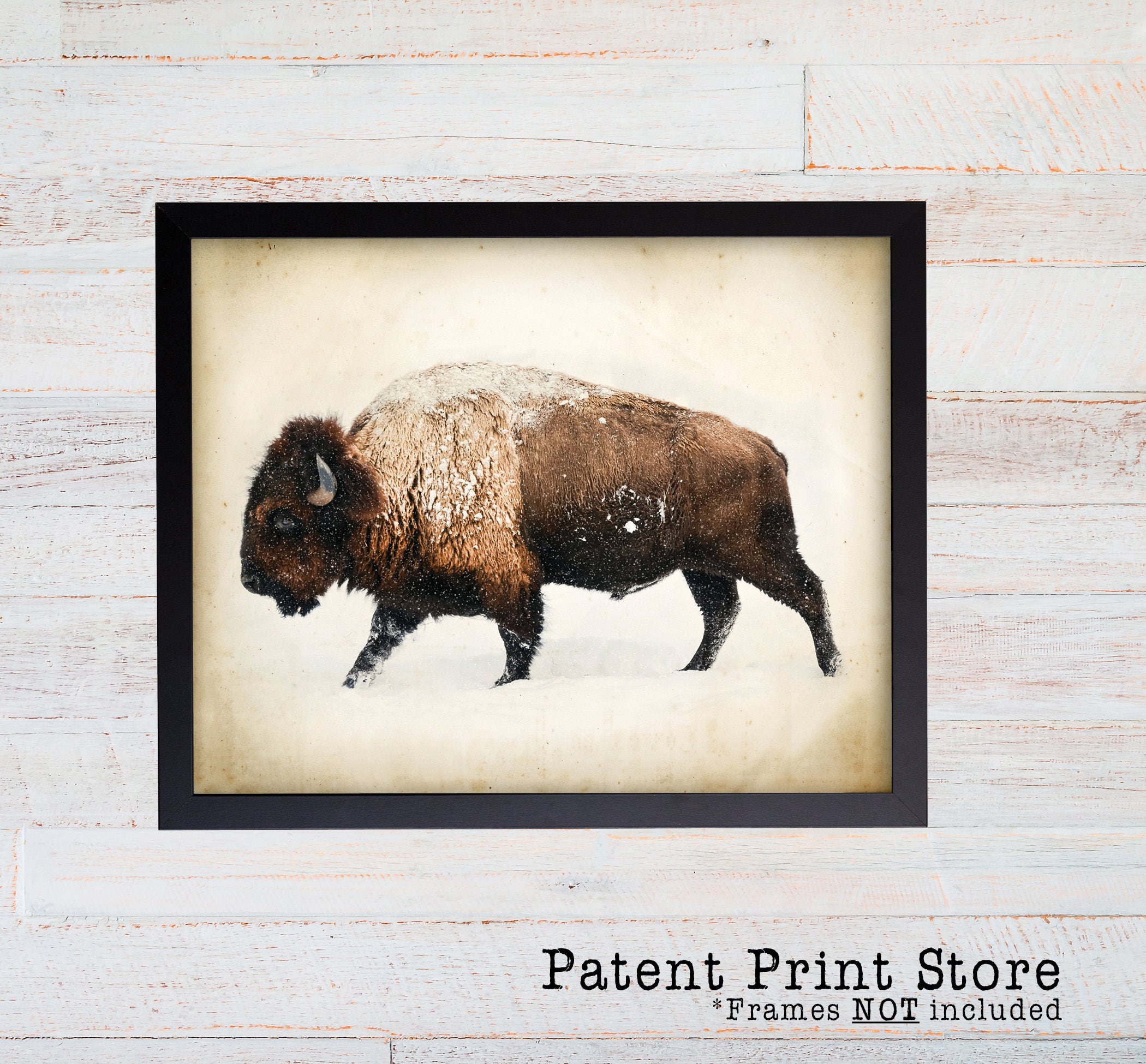 Buffalo Print. Bison Print. Buffalo Wall Art. Buffalo - Etsy
