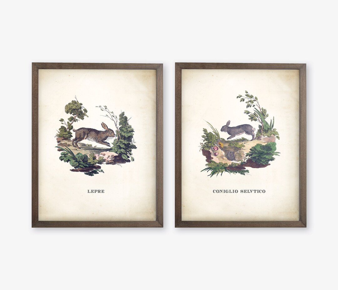 Vintage Bunny Nursery Print Set of 2. Rabbit Prints. Bunny Art. Vintage ...