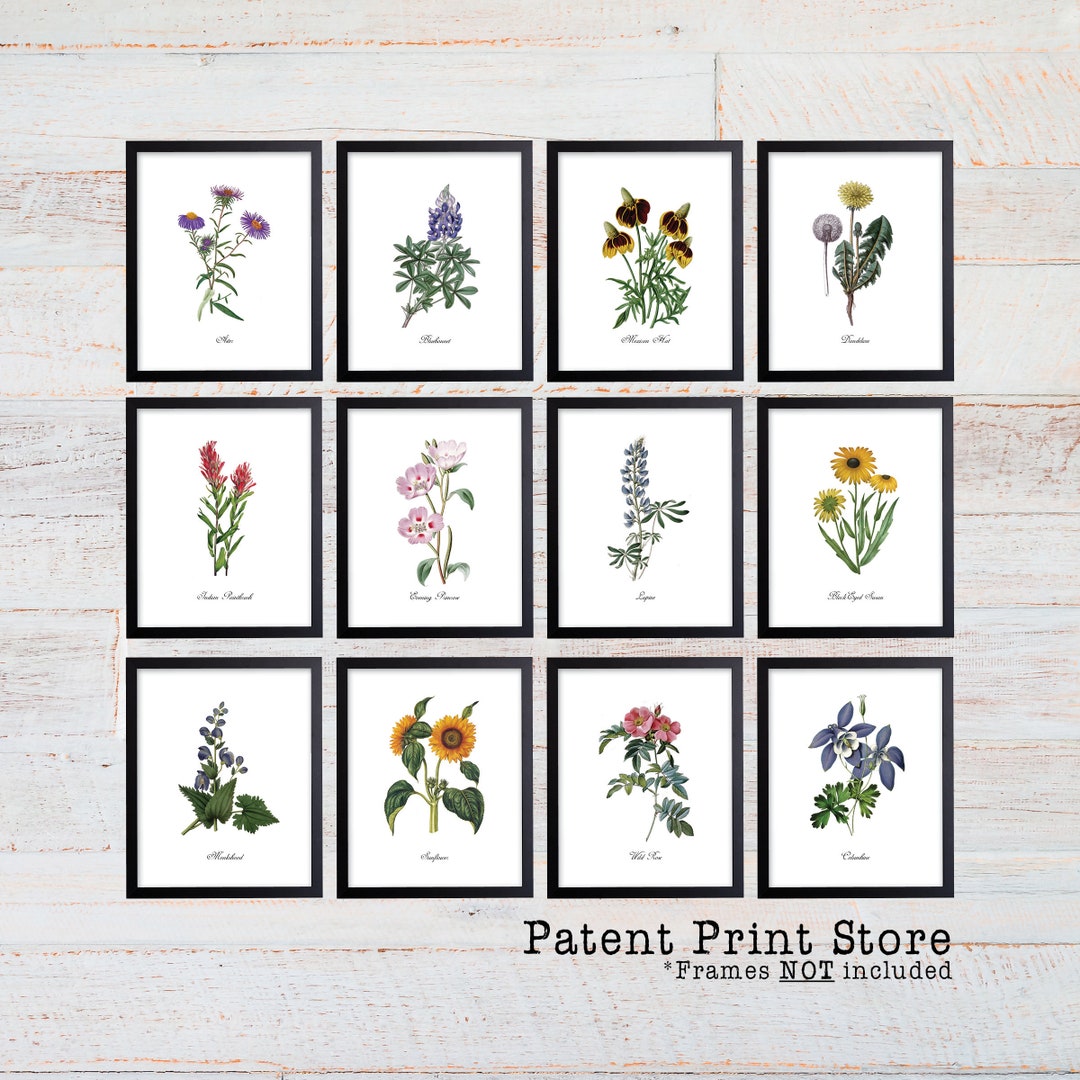 Vintage Wildflower Prints. Botanical Print Set. Wildflower Art. Vintage ...