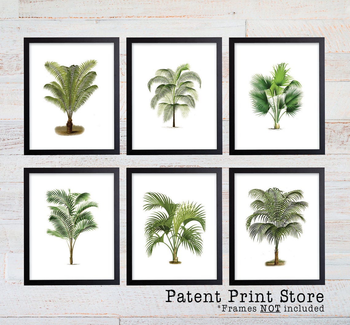 Palm Tree Print Set. Palm Tree Art. Botanical Prints. Wall Art. Palm ...