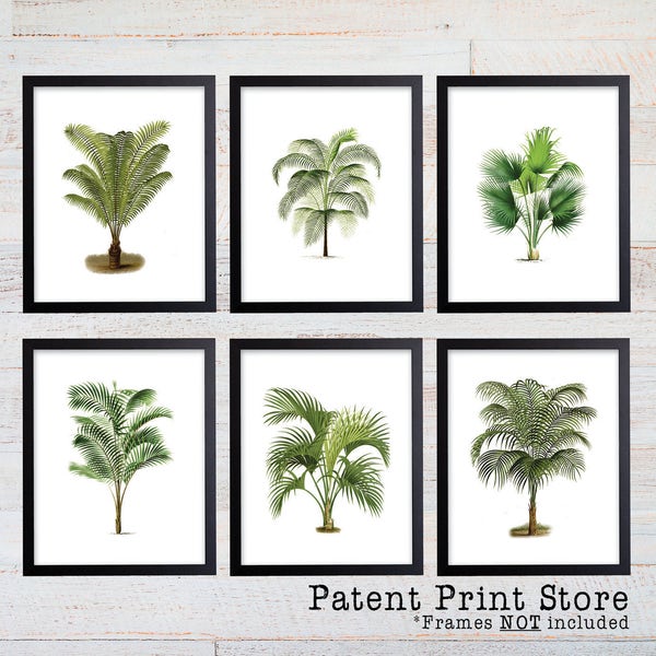 Palm Tree Art - Etsy