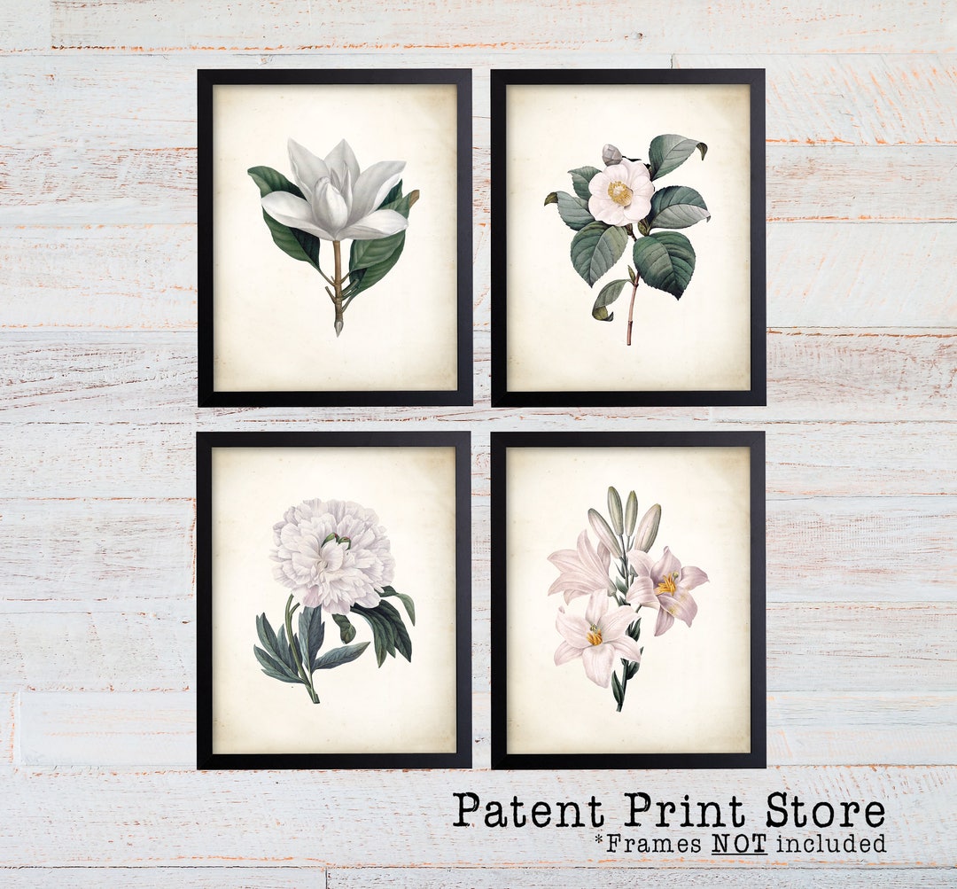 Redoute Botanical Print Set. White Flower Prints. Botanical Print. Art ...