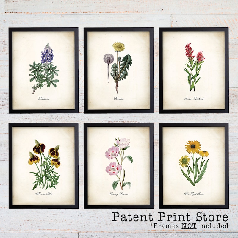 Botanical Poster - Etsy