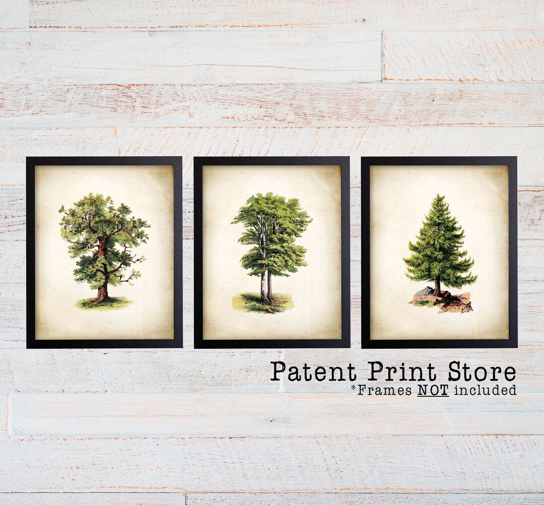Vintage Tree Art Print Set. Tree Prints. Tree Wall Art. Green Home ...